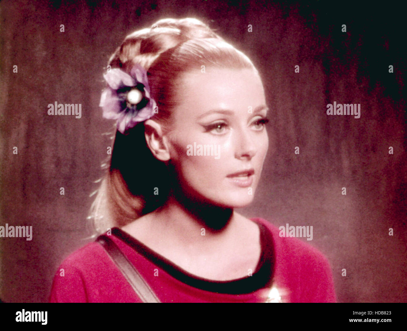 Celeste yarnall High Resolution Stock Photography and Images - Alamy