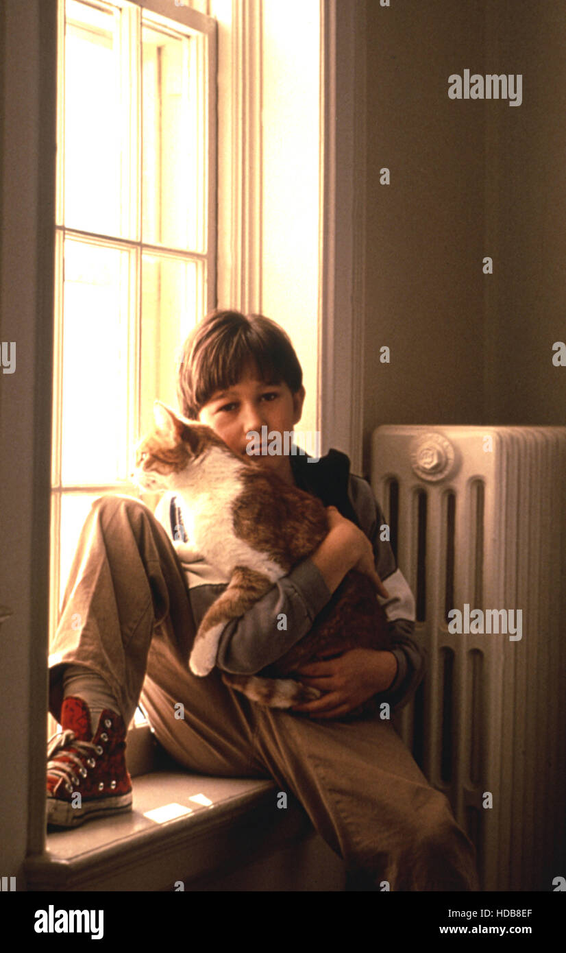 SWITCHING PARENTS, (aka GREGORY K), Joseph Gordon-Levitt, 1993, (c ...