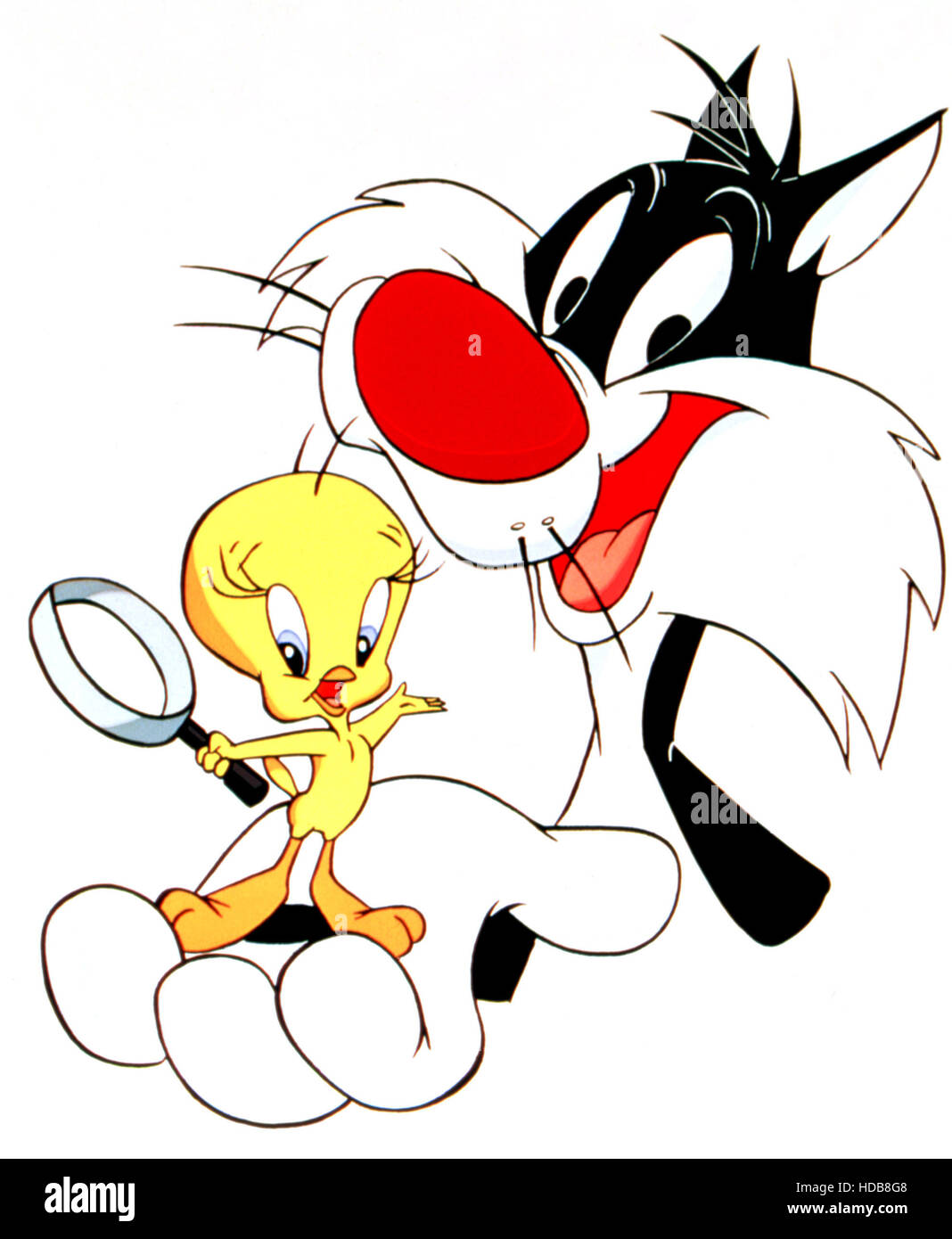 Cartoon Tweety And Sylvester