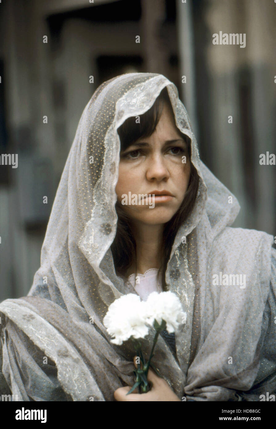 SYBIL, Sally Field, 1976 Stock Photo - Alamy