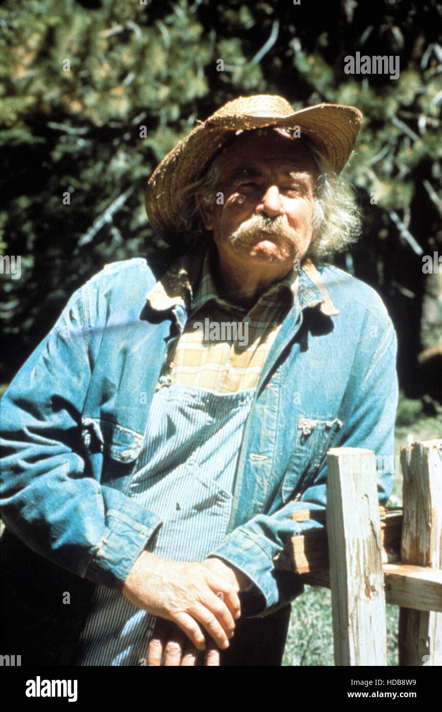 THE WALTONS, Will Geer, 1972-81 Stock Photo - Alamy