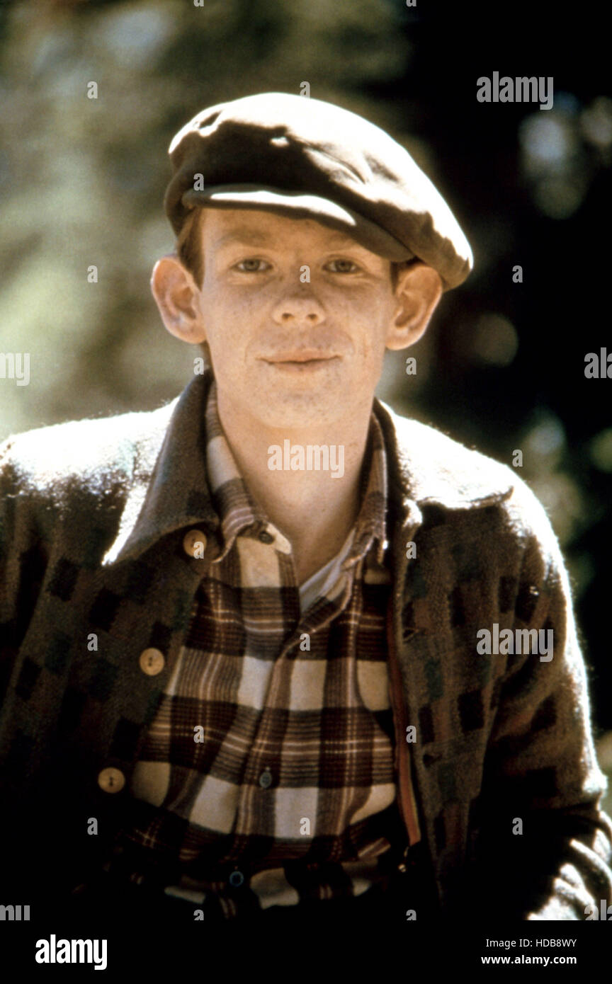 THE WALTONS, Jon Walmsley, 1972-81 Stock Photo - Alamy