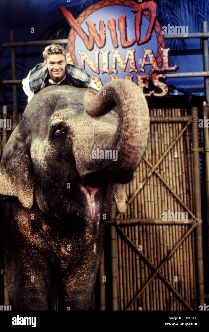 WILD ANIMALS GAMES, Ryan Seacrest, 1995, © The Family Channel ...