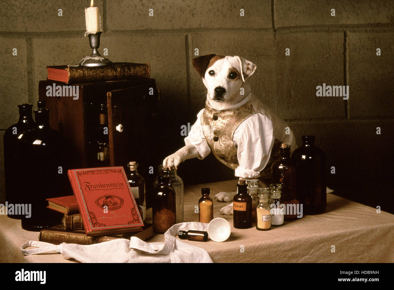 Larry Brantley Wishbone