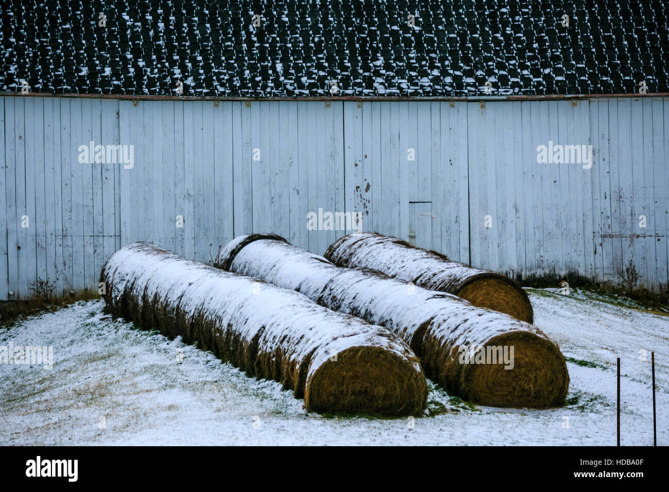 Black hay bales with snow hi-res stock photography and images - Alamy
