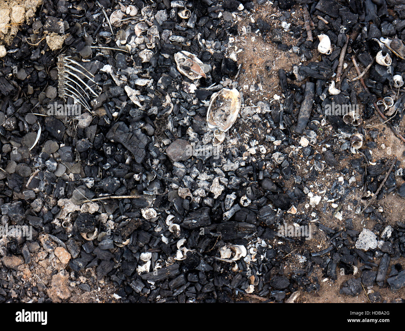 The ash background and texture Stock Photo - Alamy