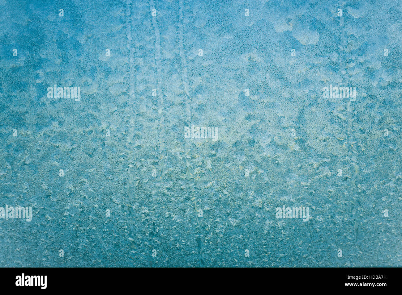 Etched glass backdrop hi-res stock photography and images - Alamy