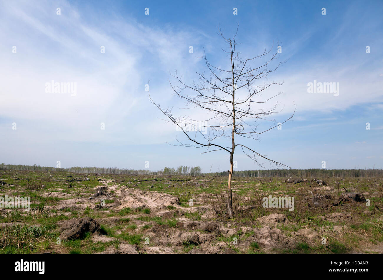 Arid recovery hi-res stock photography and images - Alamy