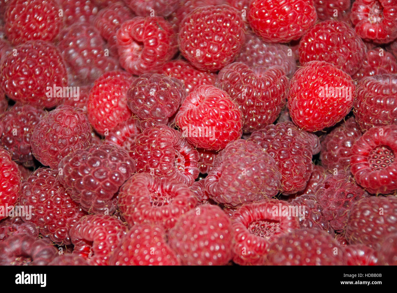 Raspberries background ripe fruits hi-res stock photography and images ...
