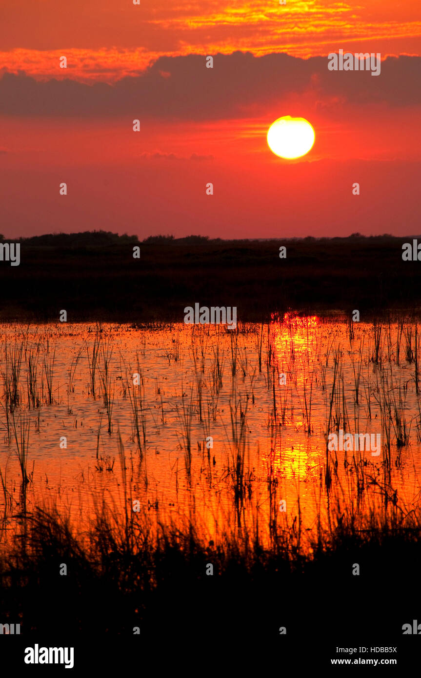 Dune wetland sunset, Padre Island National Seashore, Texas Stock Photo ...