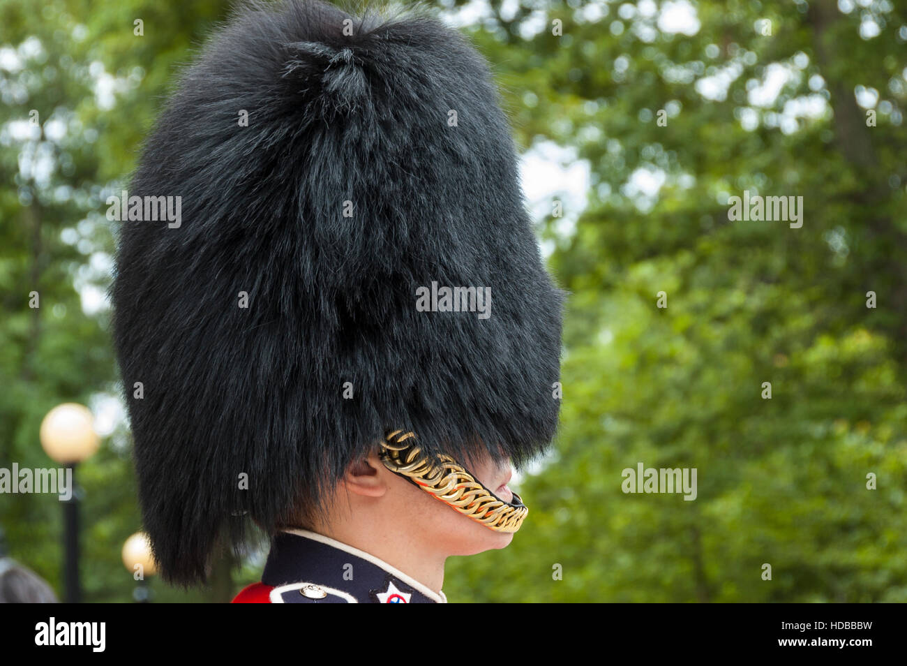A sentry from the Canadian Ceremonial Guard stands in front of Rideau Hall, residence of the ...