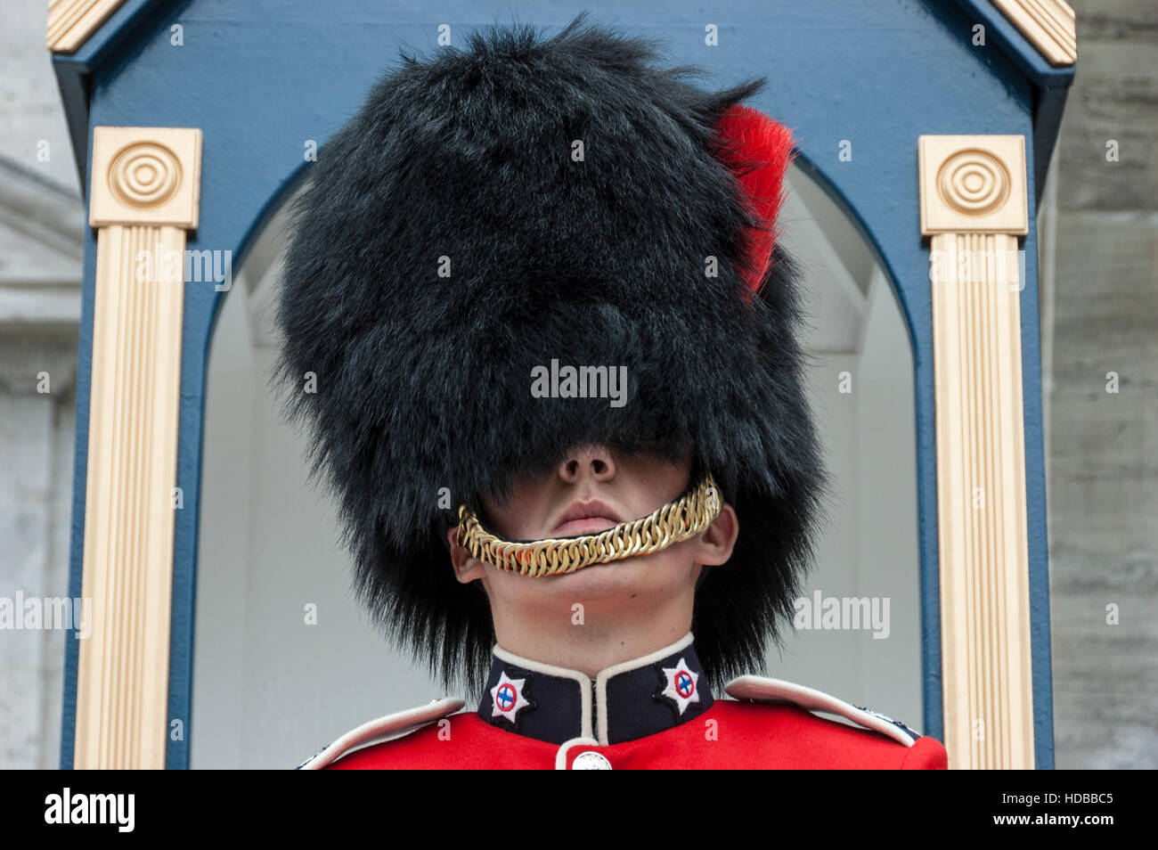Candid portrait, sentry from the Canadian Ceremonial Guard stands in ...