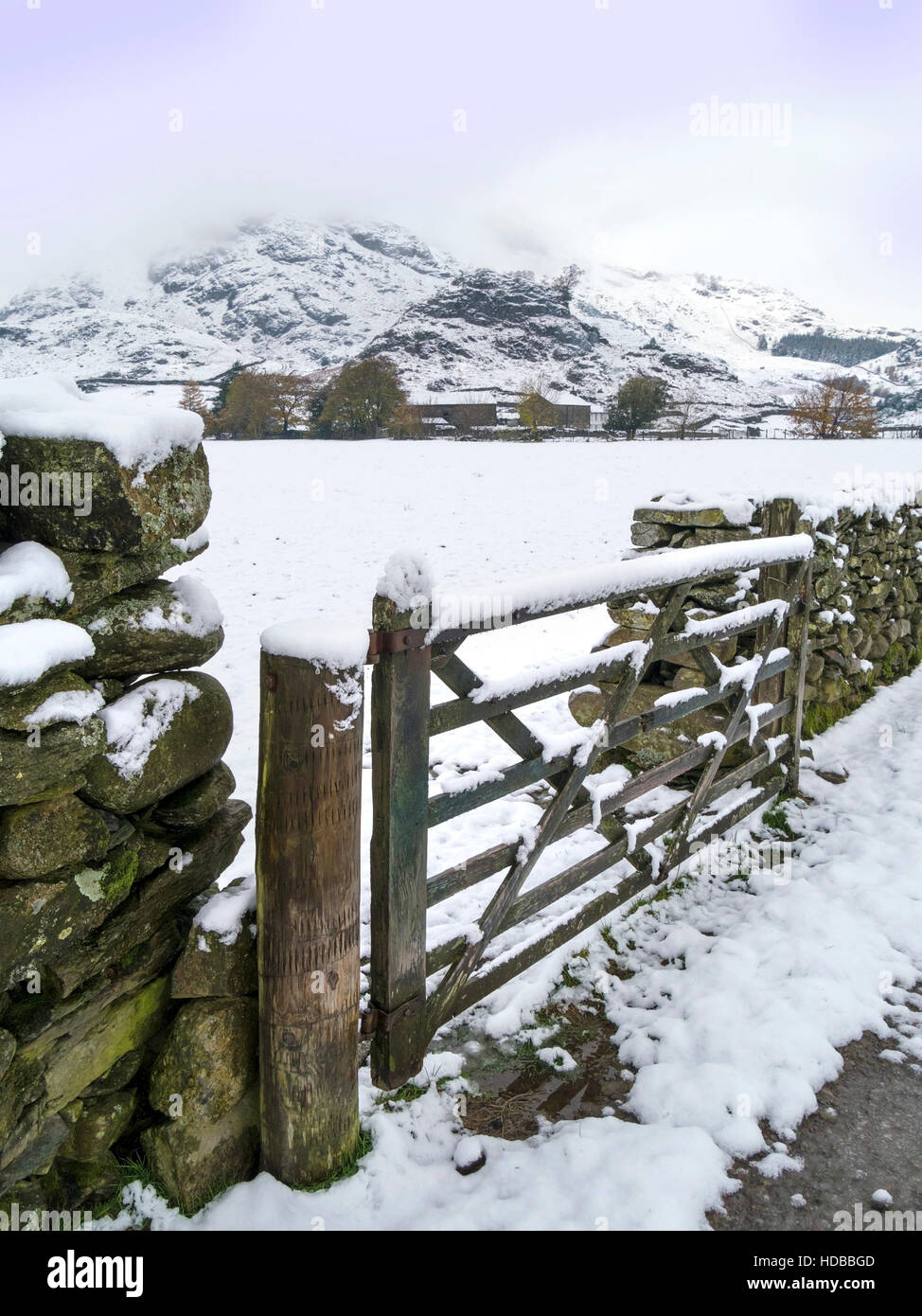 Farm field gate in snow, Little Langdale, English Lake District ...