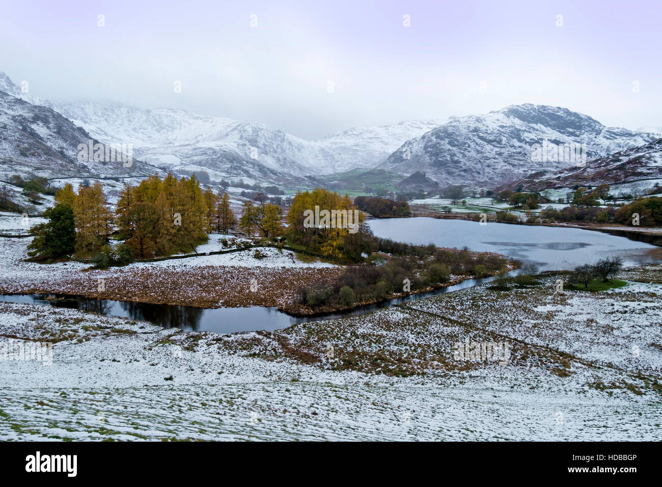 Little Langdale Tarn in snow with Autumn Colour, Little Langdale ...