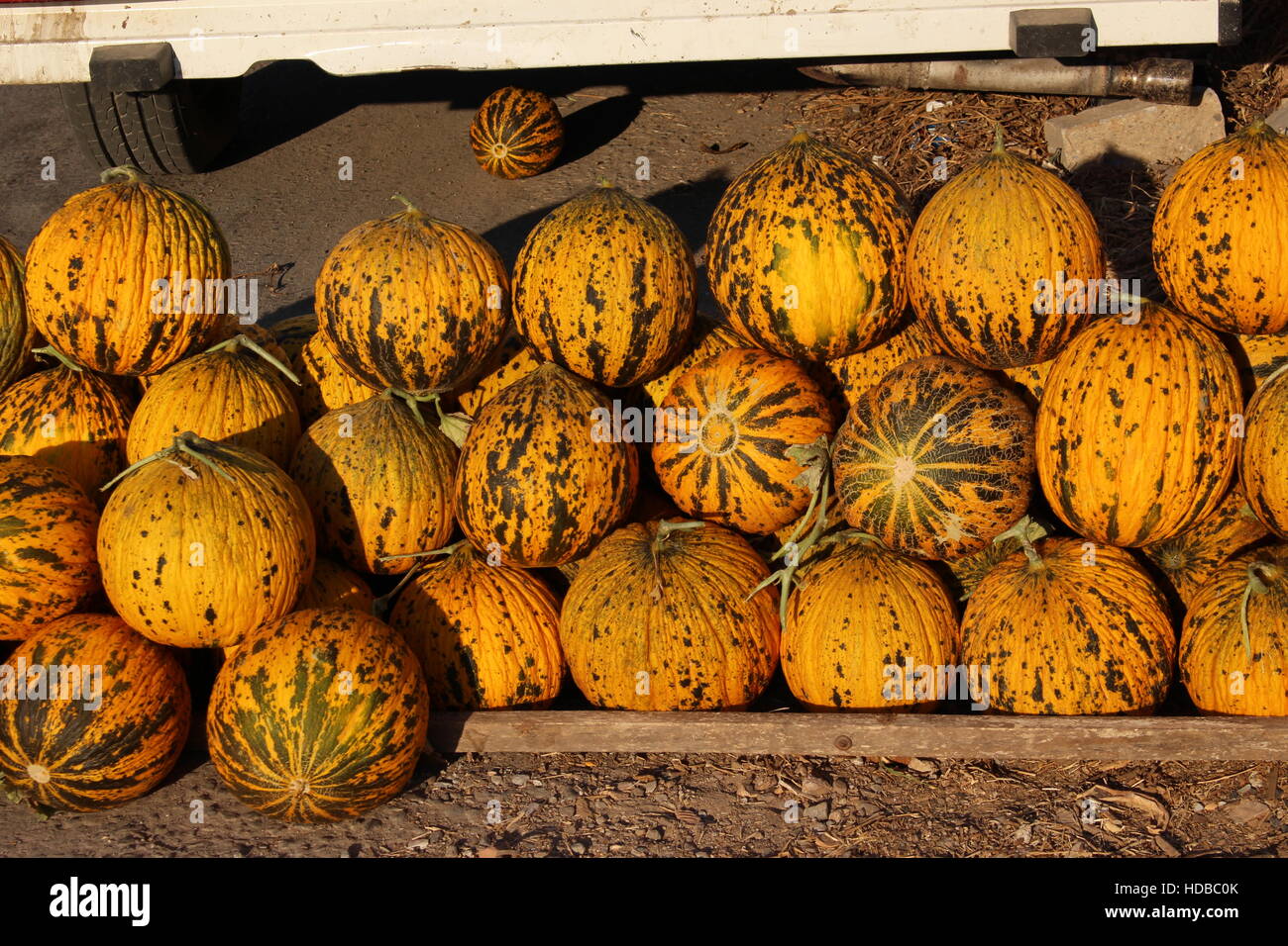 Turkey melons hi-res stock photography and images - Alamy