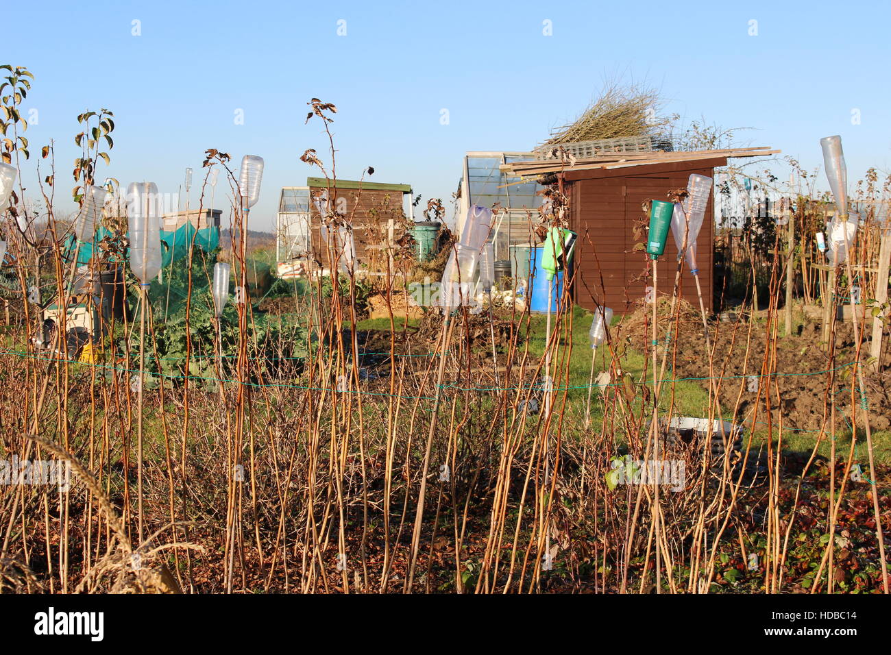 Winter allotment shed sheds sticks bamboo canes plastic bottles ...