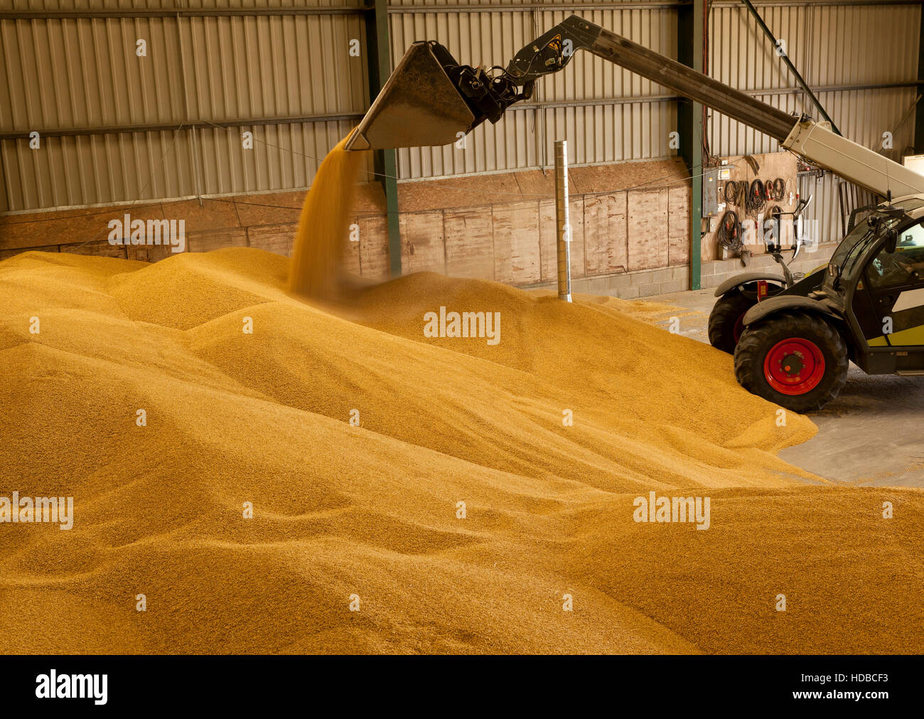 Grain loader hi-res stock photography and images - Alamy