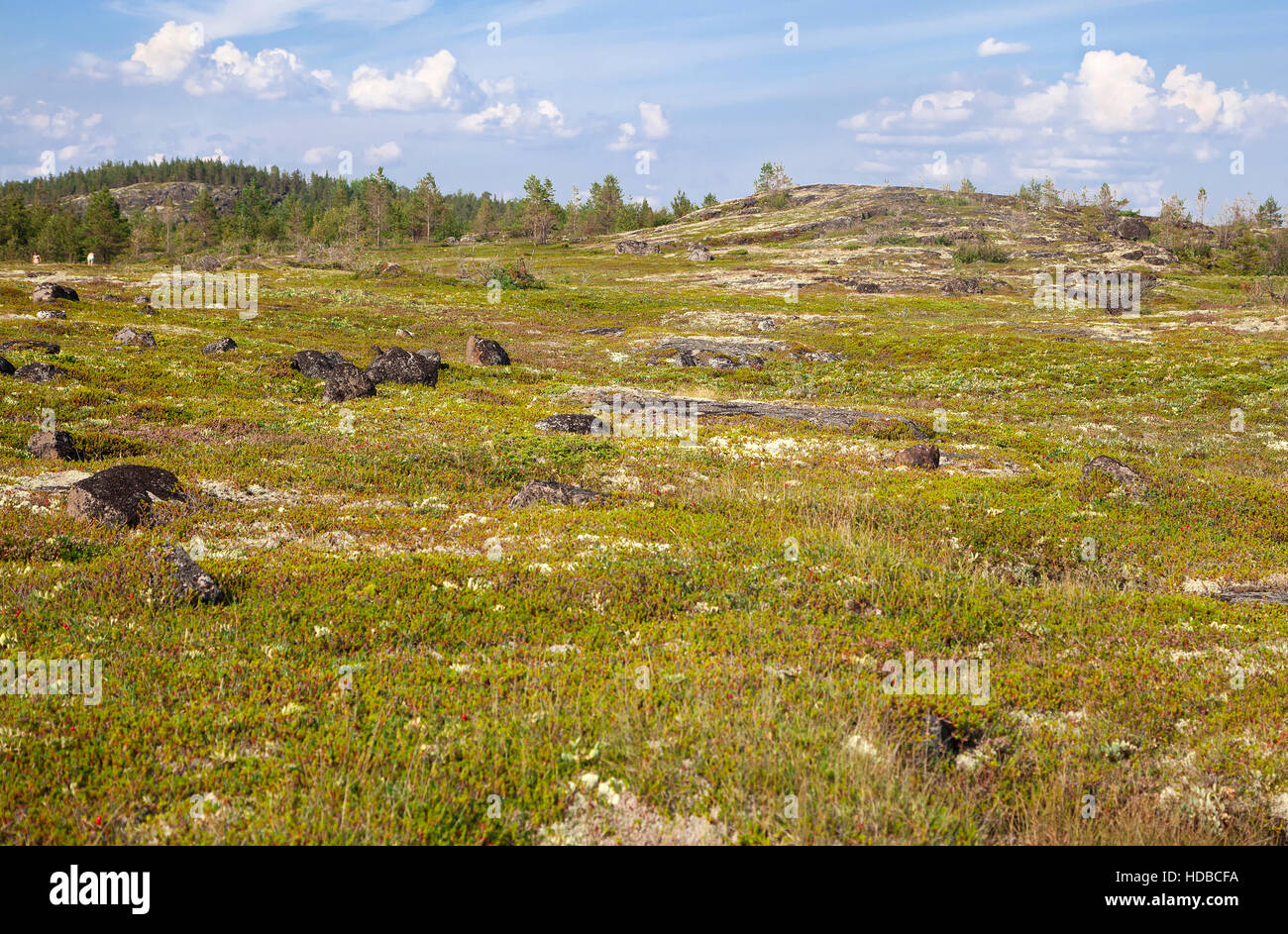 Russian tundra hi-res stock photography and images - Alamy