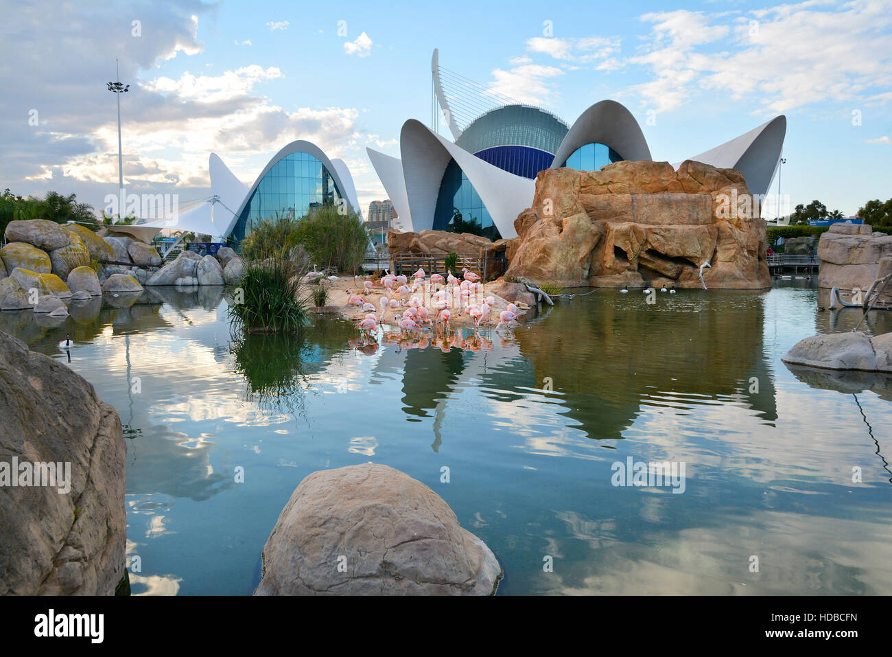 Valenciaocean hi-res stock photography and images - Alamy