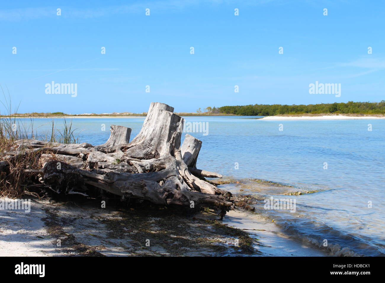 Gulf of mexico vacations hi-res stock photography and images - Alamy