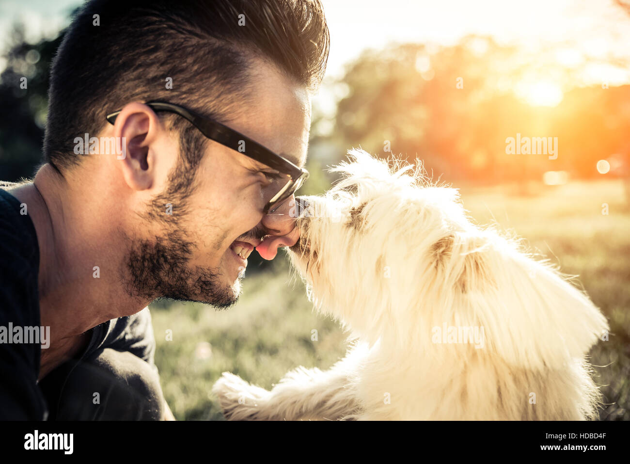 Portrait of young man playing with his dog Stock Photo - Alamy