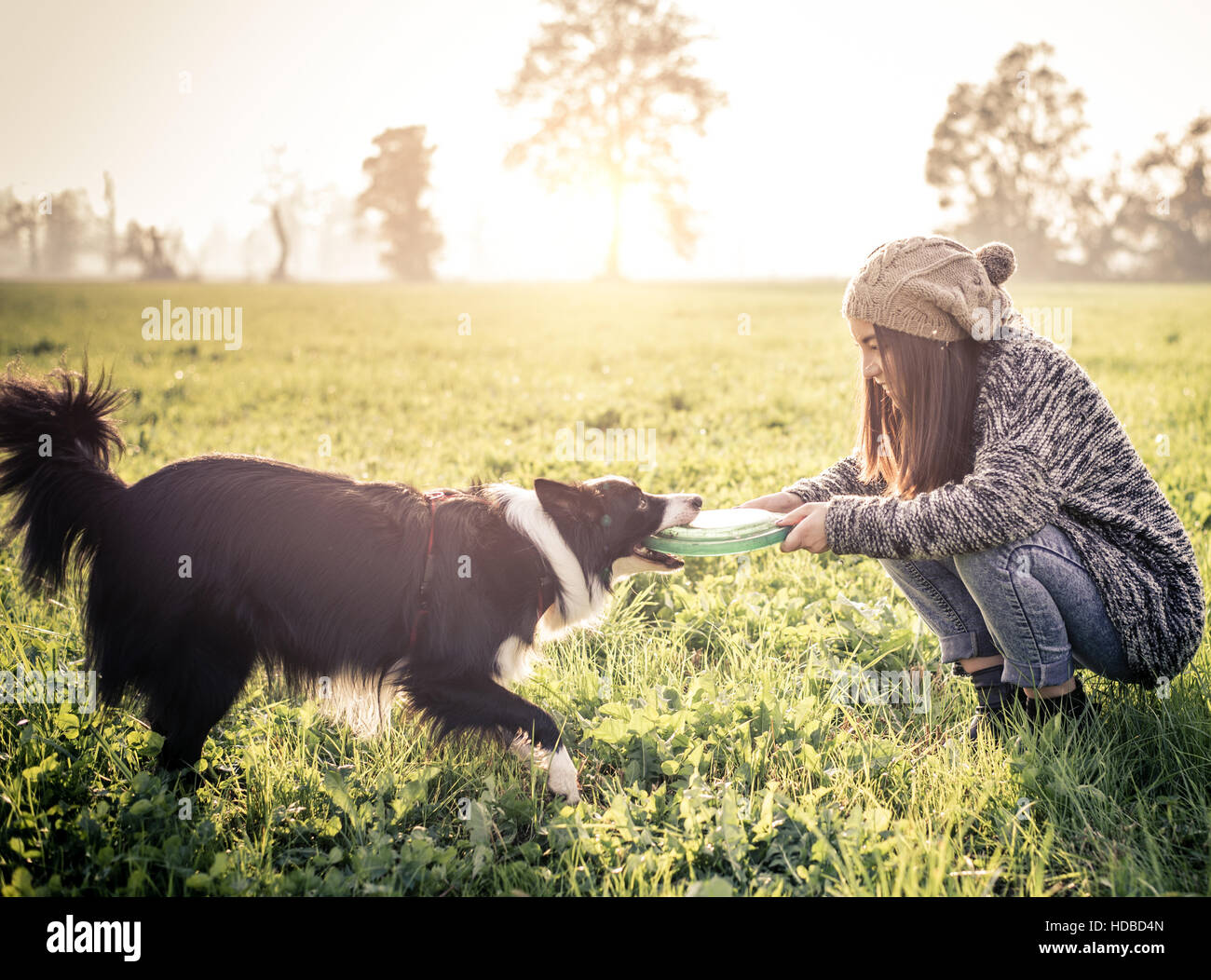 Young beautiful girl throwing frisbee to her dog in a park at sunset ...