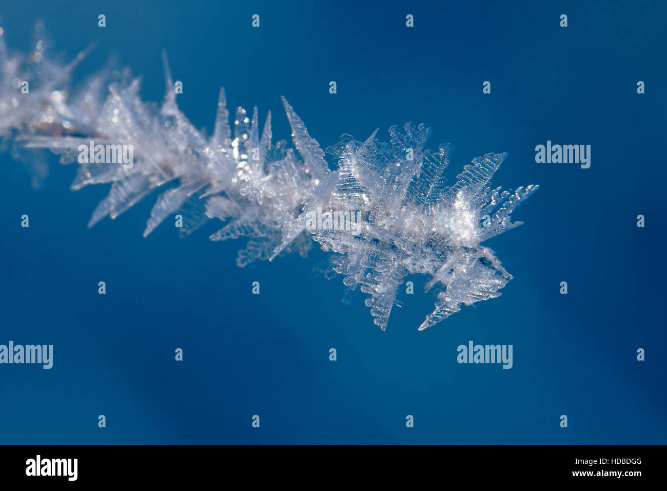 Beautiful shot ice covered hi-res stock photography and images - Alamy