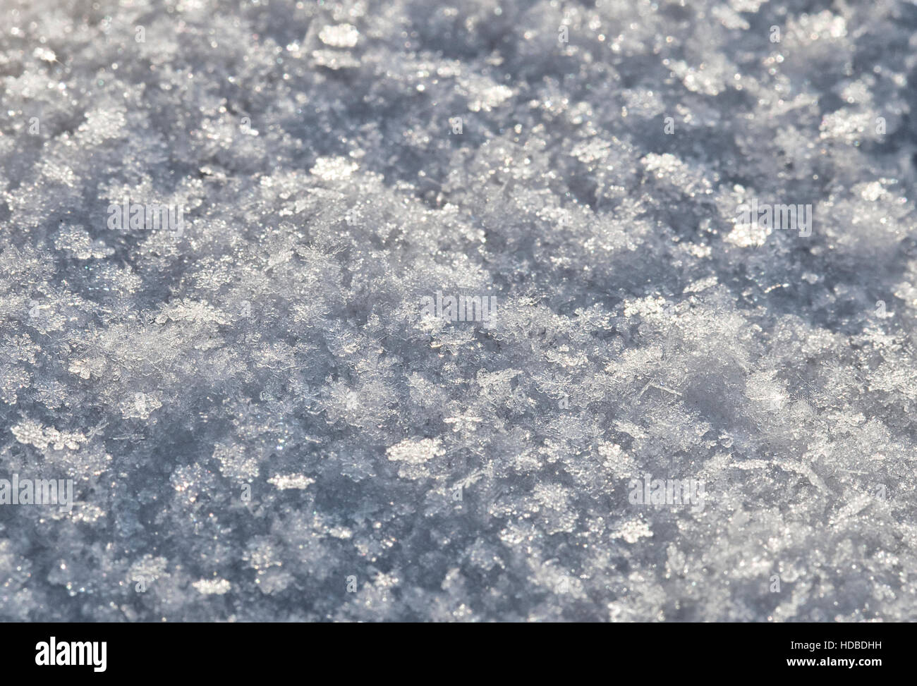 Surface of fresh snow in winter, macro shot Stock Photo - Alamy