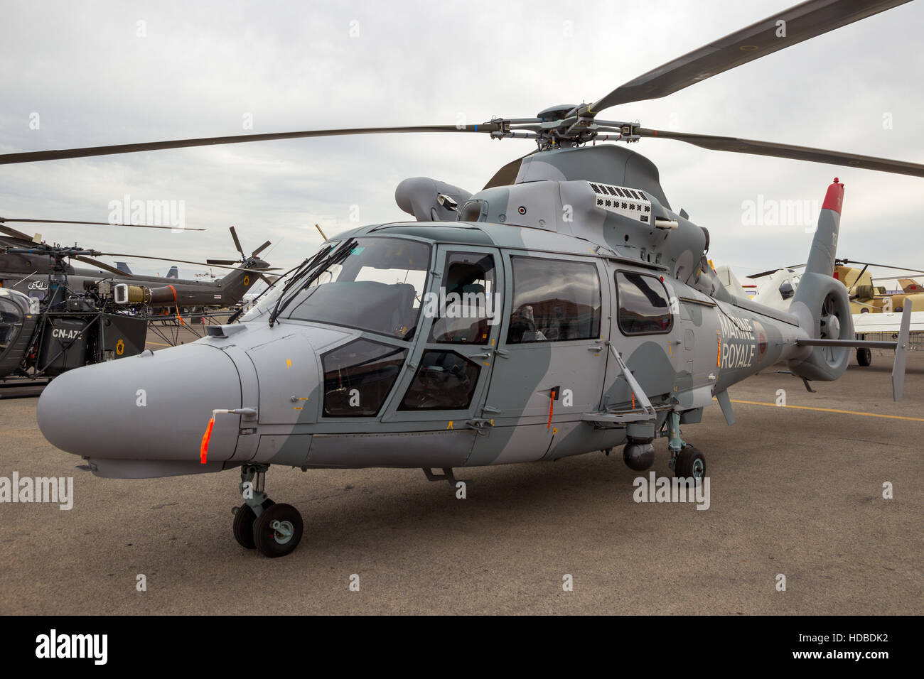 oyal Moroccan Navy Eurocopter AS-365 Dauphin rescue helicopter Stock ...