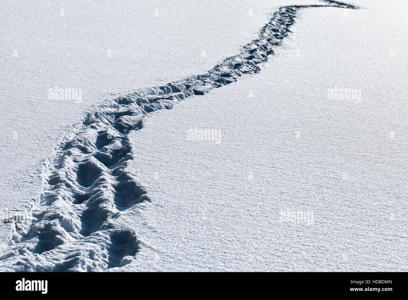 Deep snow sunny day hi-res stock photography and images - Alamy