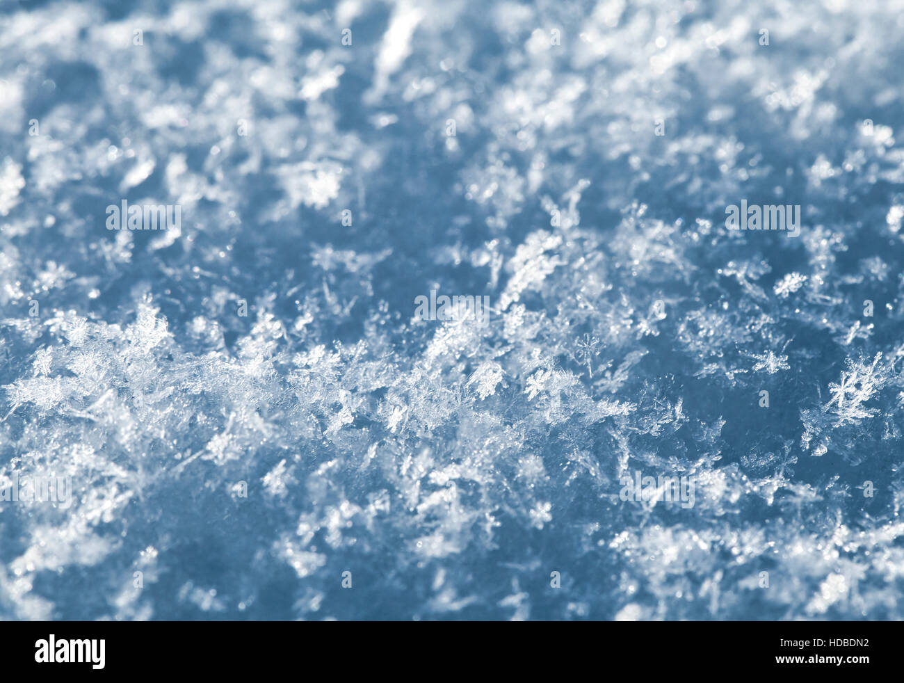 Surface of fresh snow in winter, macro shot Stock Photo - Alamy