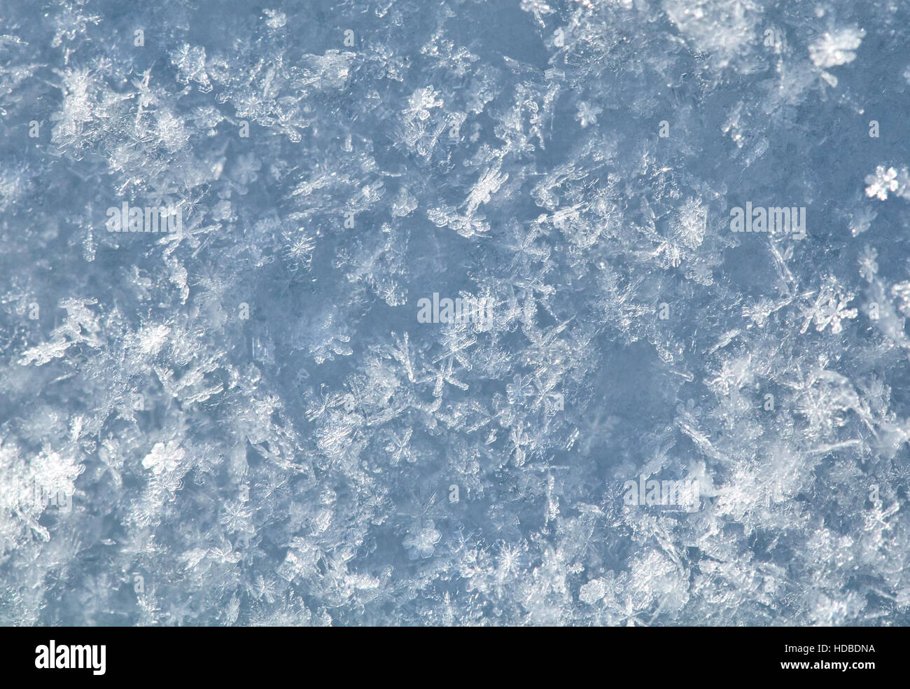 Surface of fresh snow in winter, macro shot Stock Photo - Alamy