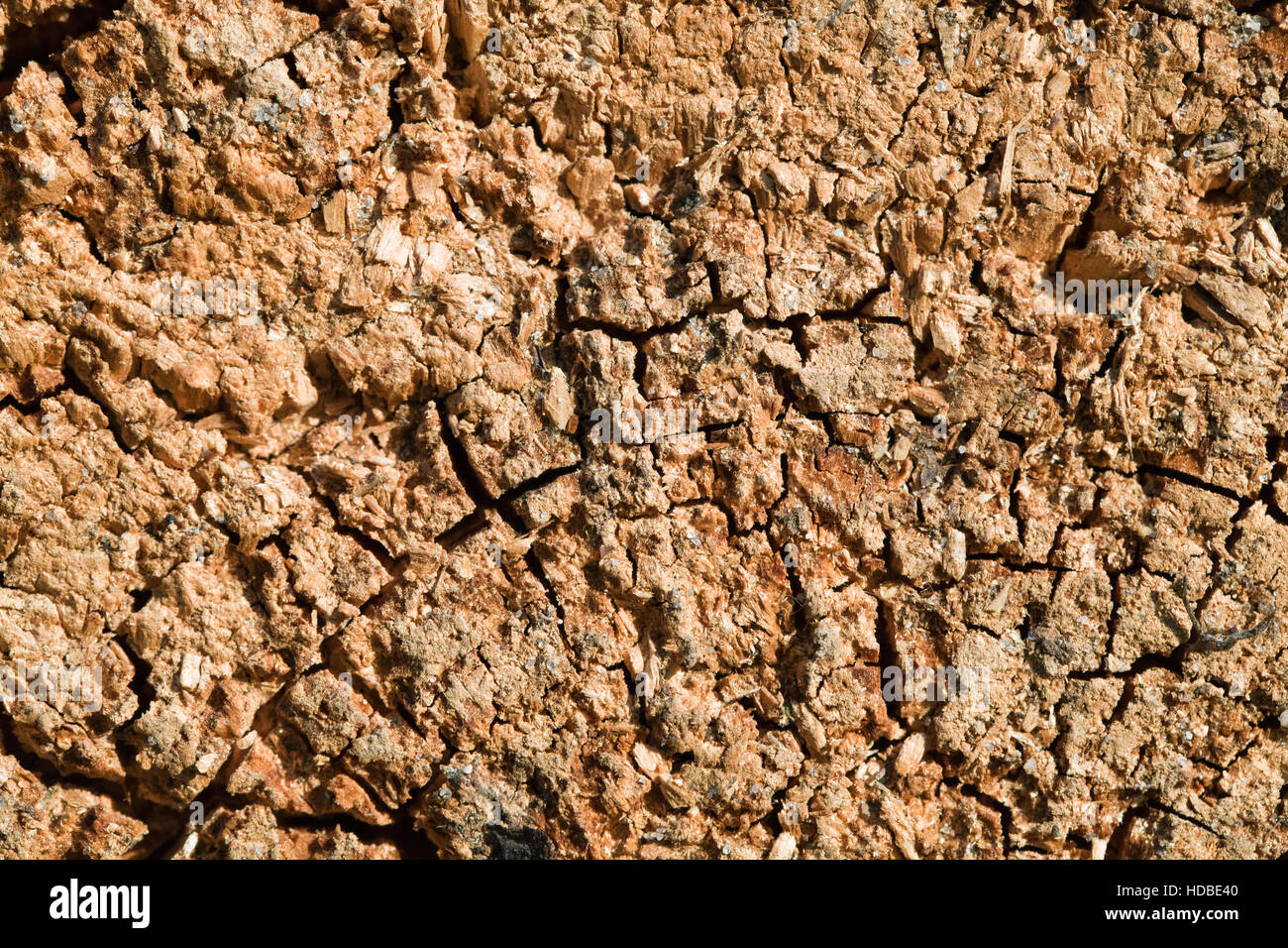 Old chipped wood, macro shot, for texture or background Stock Photo - Alamy
