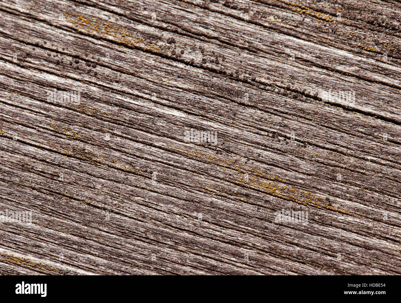 Cracked wood hi-res stock photography and images - Alamy