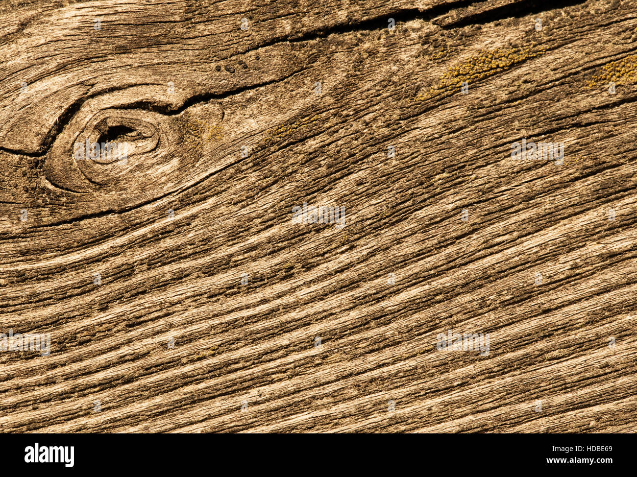 Closeup of old cracked wood for texture or background Stock Photo - Alamy