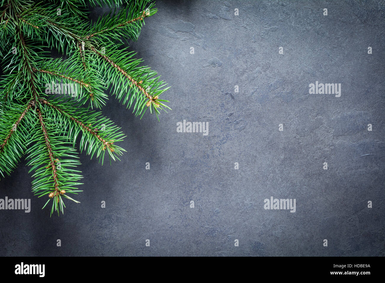Gray fir hi-res stock photography and images - Alamy