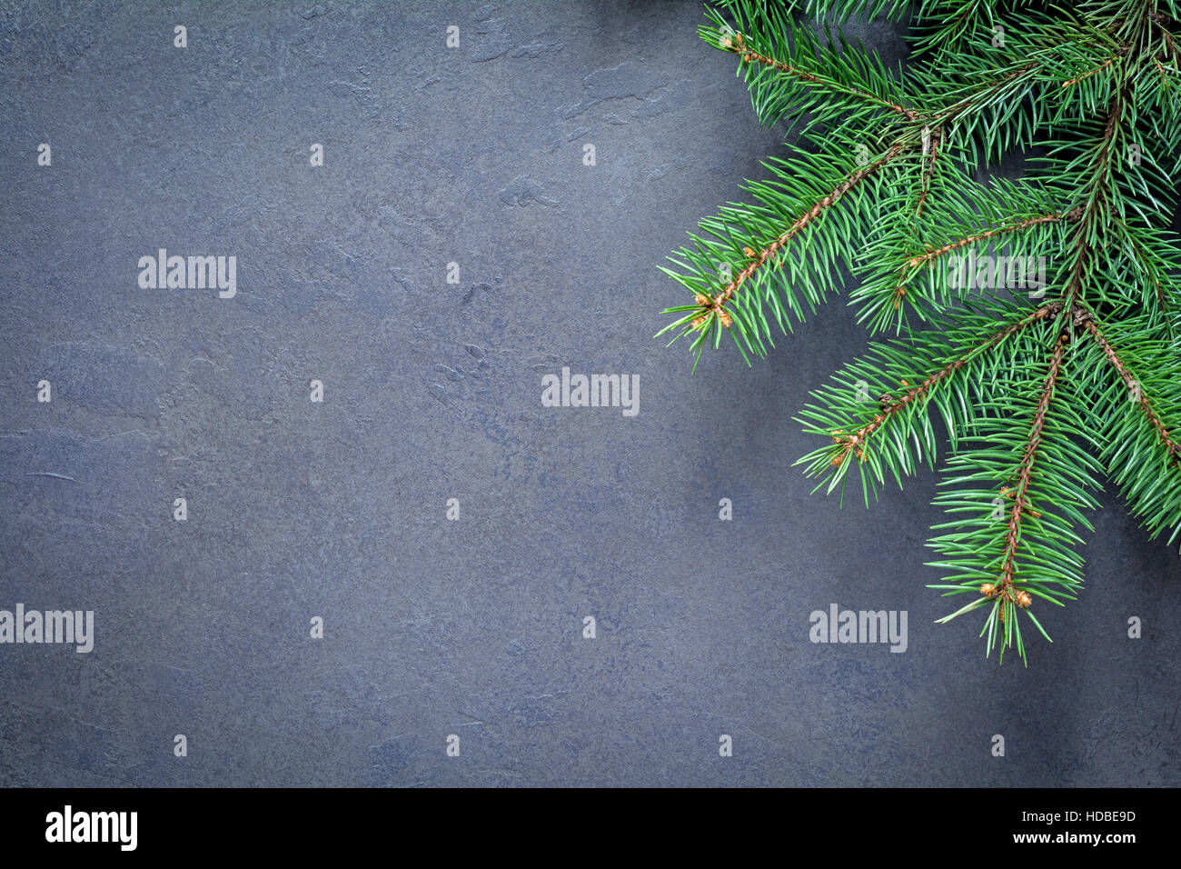 Gray fir hi-res stock photography and images - Alamy