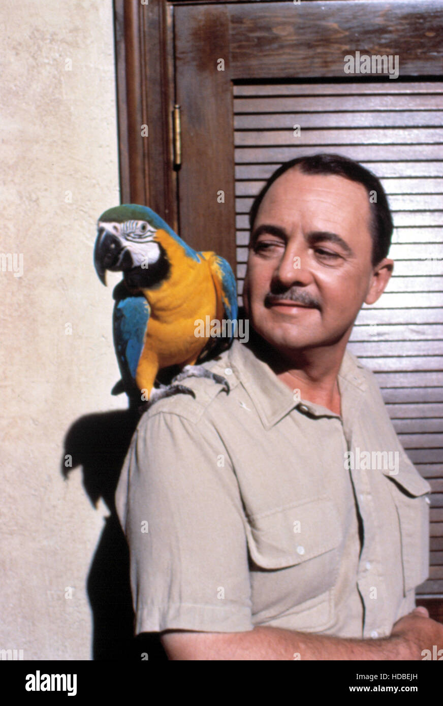 MAGNUM P.I., John Hillerman, 1980-88 Stock Photo - Alamy