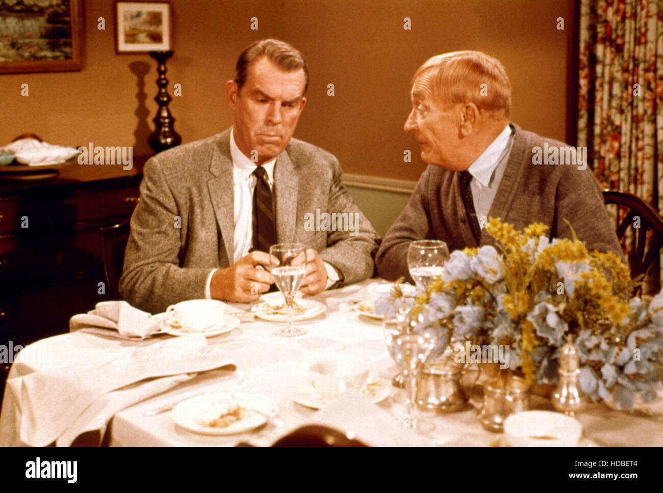 William Demarest My Three Sons