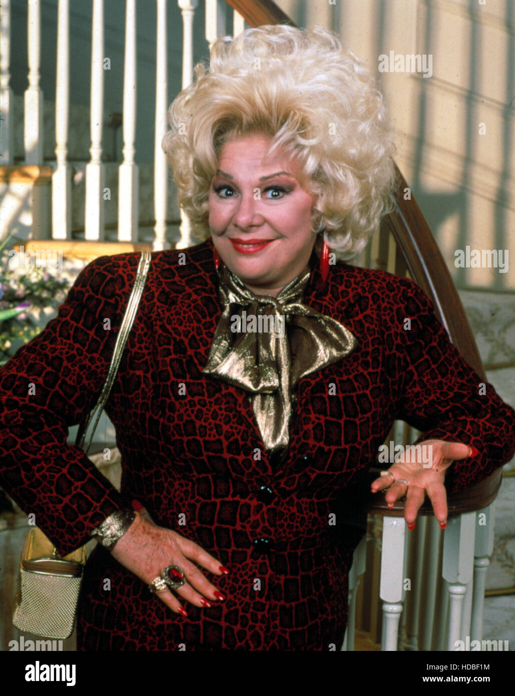 THE NANNY, Renee Taylor, 1993-99 Stock Photo - Alamy