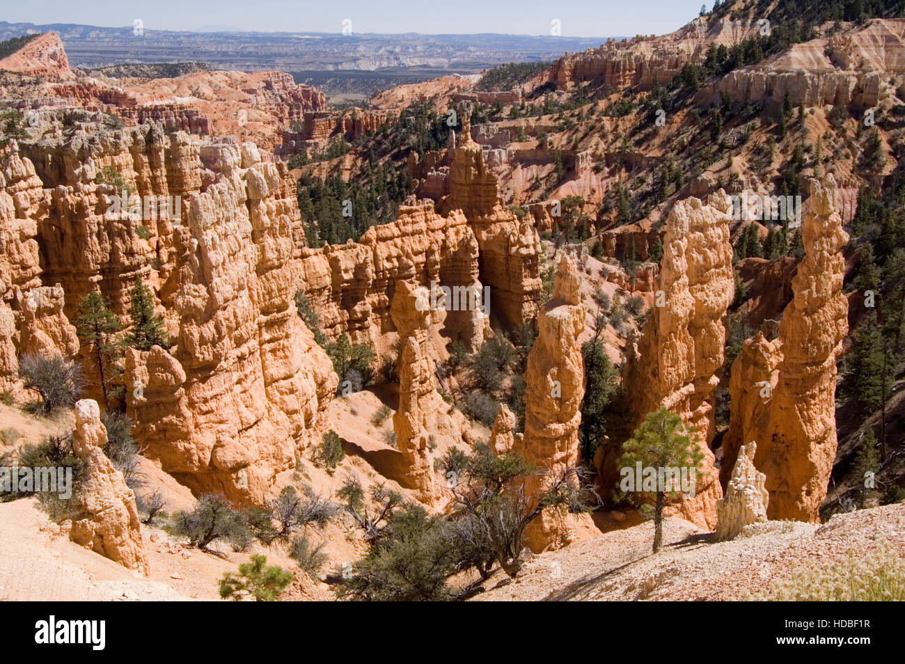 U.S.A. UTAH BRYCE CANYON NATIONAL PARK THE HOODOOS FROM FAIRYLAND POINT ...