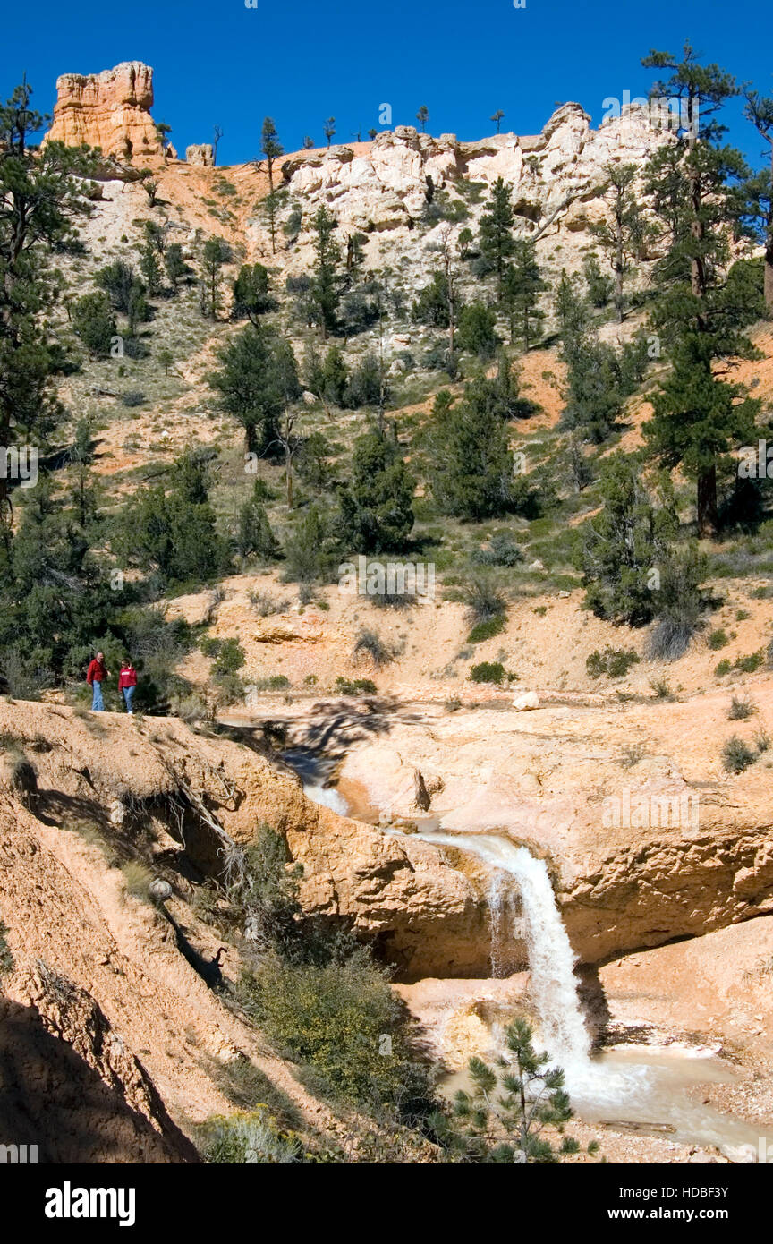 U.S.A. UTAH BRYCE NATIONAL PARK TROPIC DITCH ON MOSSY CAVE WALK Stock ...