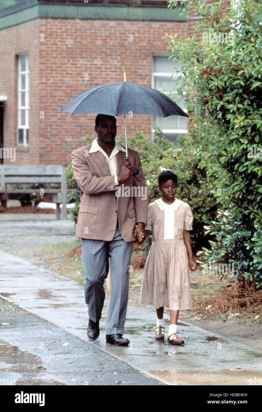 SIMPLE JUSTICE, Jake L.Johnson III, 1993 Stock Photo - Alamy