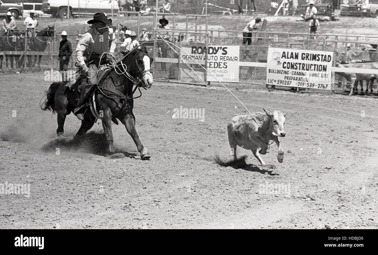 1990s cowboys hi-res stock photography and images - Alamy