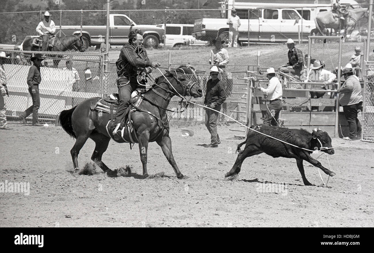 1992 photo hi-res stock photography and images - Alamy