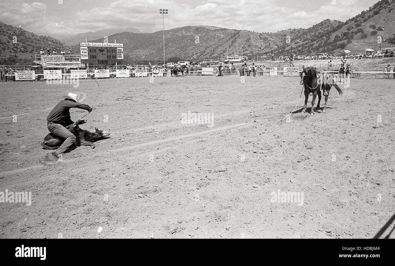 Springville Rodeo Black and White Tri-X 1992. (Photo by Jeremy Hogan ...