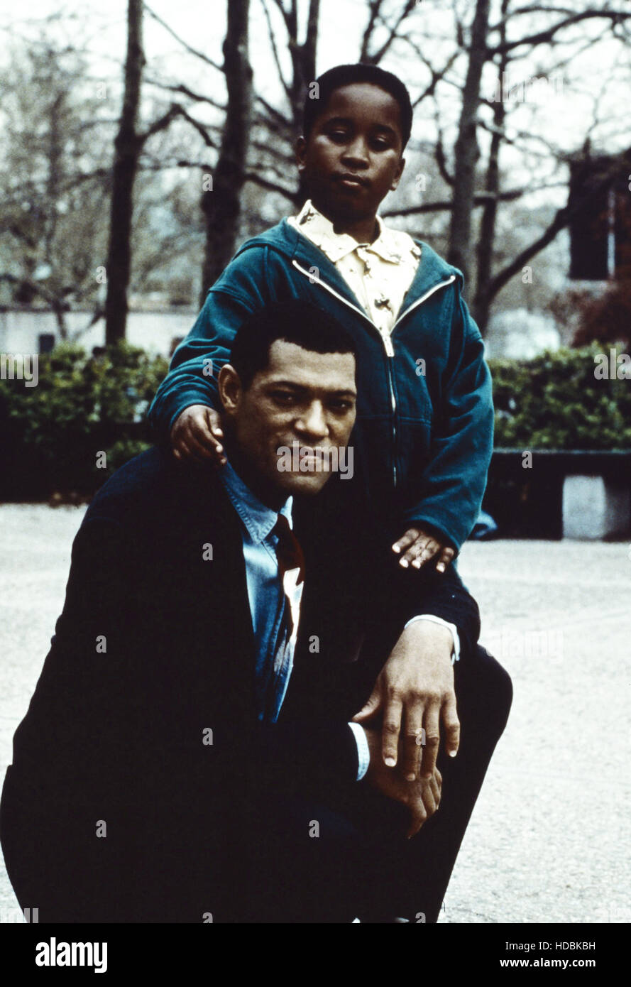 TRIBECA, from left: Laurence Fishburne, Sharif Rashed, "The Box ...