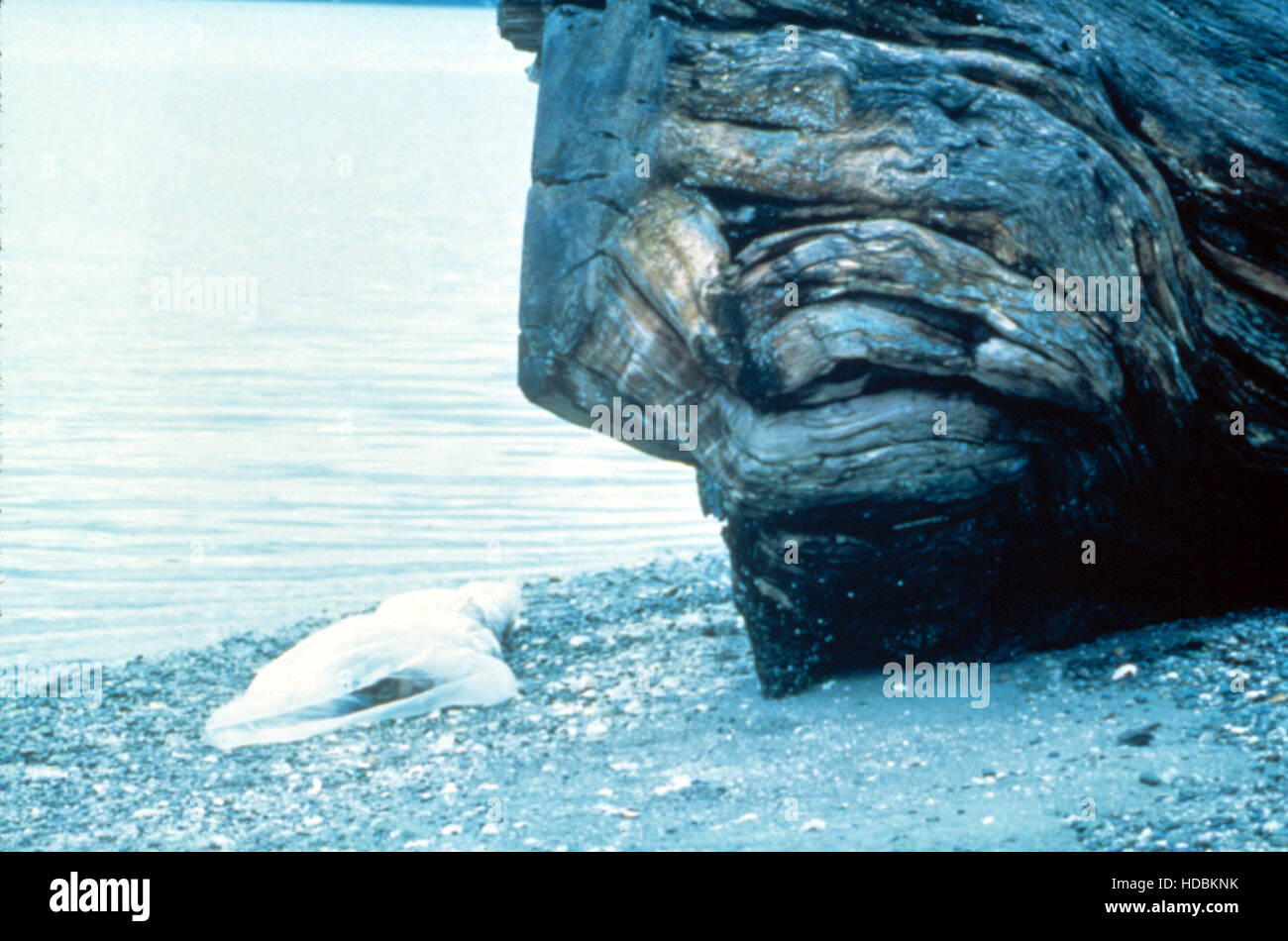 TWIN PEAKS, Laura Palmer's body-first episode, 1990-91, (c)Spelling ...