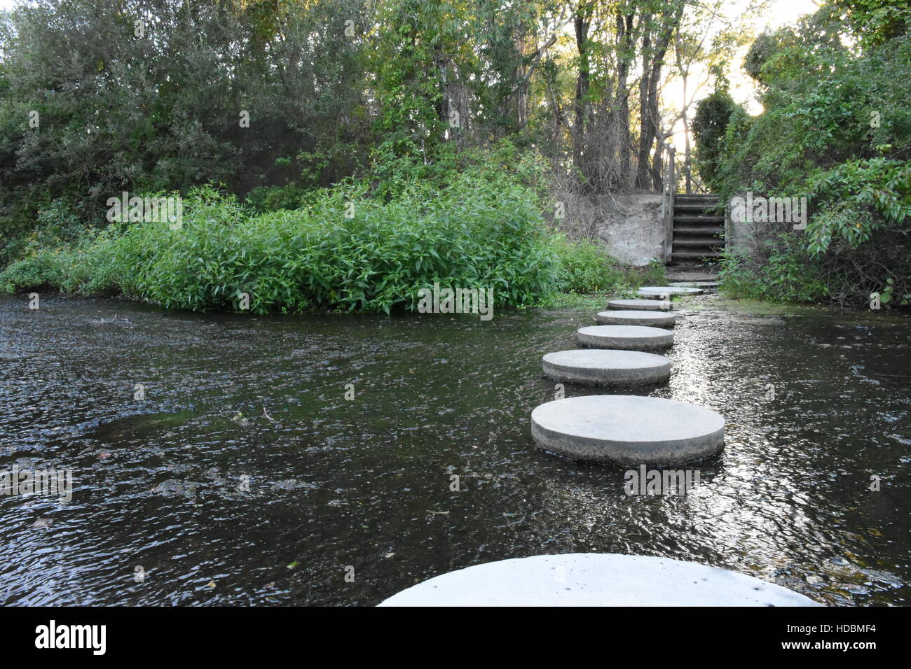 Stepping stone path along trail at Melville Ponds Stock Photo - Alamy