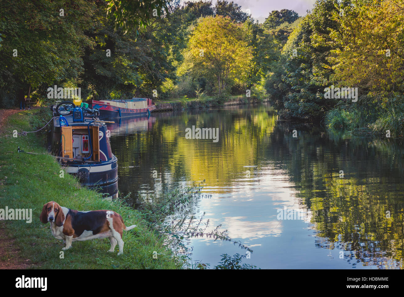 Canalboats on the River Lea (or Lee) in Hertfordshire, England, United ...